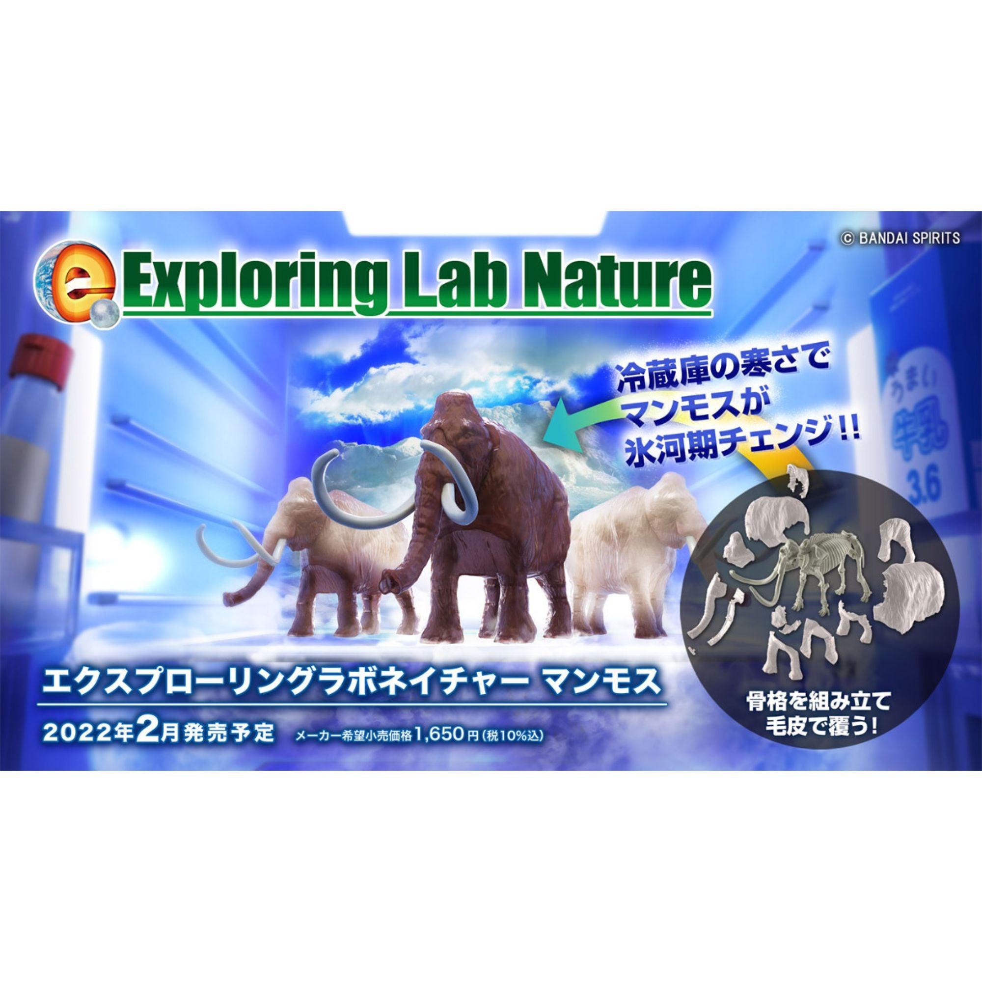Exploring Labo Nature – Show Me What You Bot